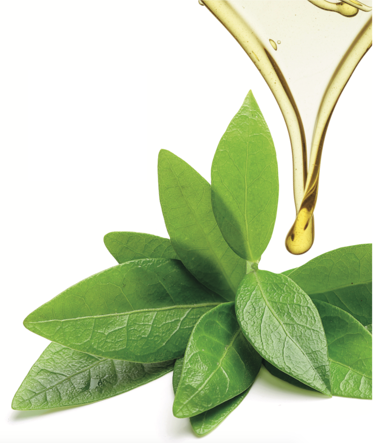 AFCA: Aditivos alimentarios | TOCOBIOL® XT, es una mezcla sinérgica 100 ...
